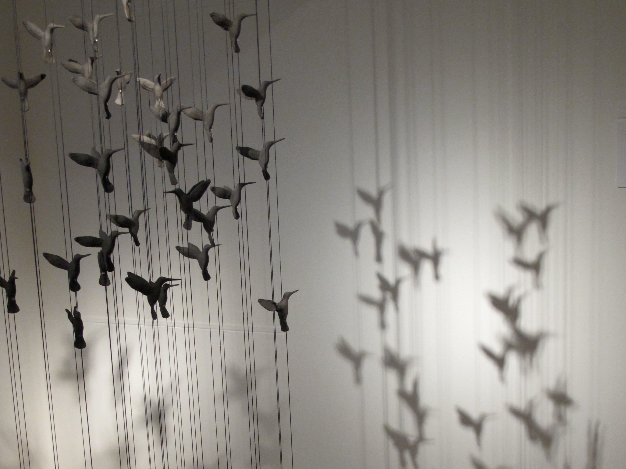 Exhibitions - New Bedford Art Museum